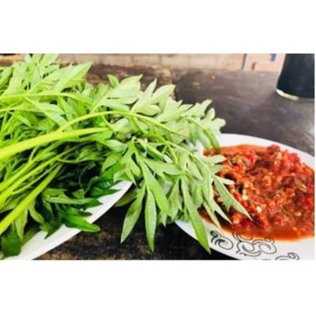 ULAM RAJA FRESH SEEDS (150 SEEDS PER PACK, NEWLY HARVEST) | Shopee Malaysia