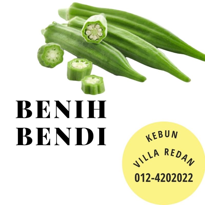 kebun Villa Redan Benih Bendi (3g) | Shopee Malaysia