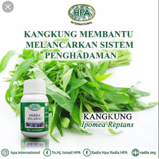 KAPSUL HERBA PELAWAS HPA (75 BIJI KAPSUL) | Shopee Malaysia