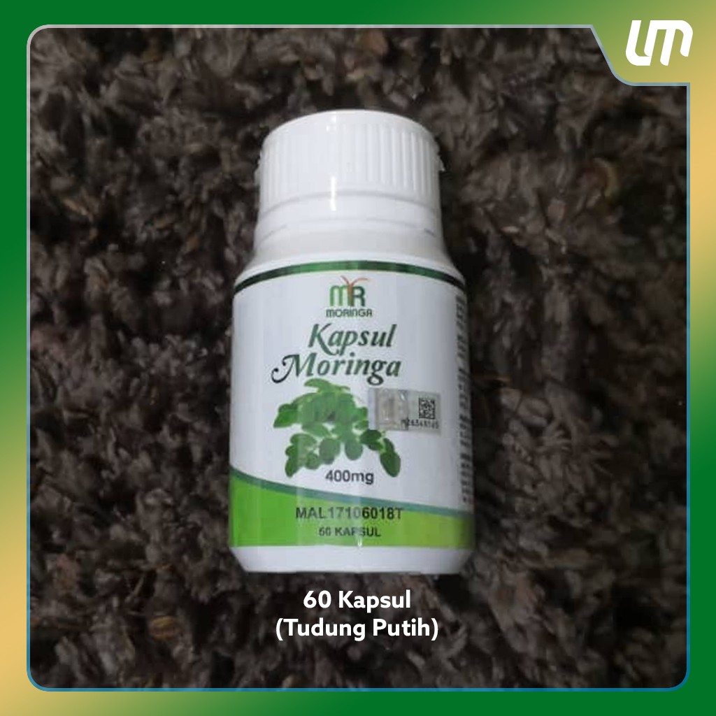🔥ORIGINAL🔥 MR Moringa 100 Kapsul Moringa Moringga Oleifera Daun Kelor ...