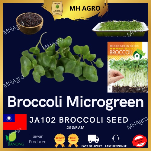 Broccoli Microgreen Seeds 25Gram 菜苗种子 JA102 JiaNong Seed MHAgro Meng ...