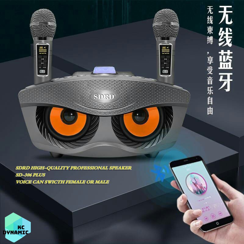 SDRD SD 306 plus Wireless Bluetooth Dual Microphone Home Karaoke Portable Speaker | Shopee Malaysia