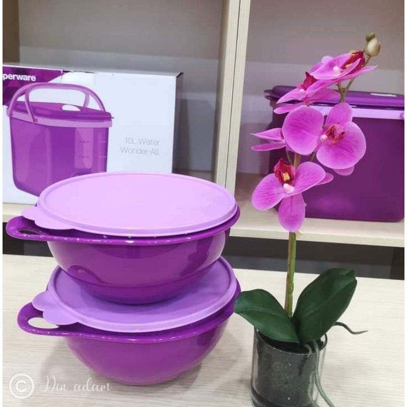 Tupperware Murah Tupperware Murah That A Bowl 3L -1pcs (purple ...