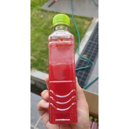 Sos Thai Sos pencicah sos sedap | Shopee Malaysia