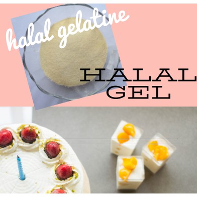 Premium HALAL GEL Gelatine (50g) | Shopee Malaysia