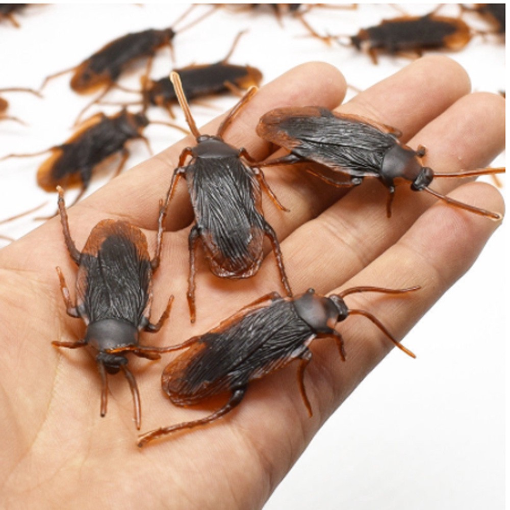1 Pcs Plastic Cockroach Cat Toy Similar to Original Fake Roach ...