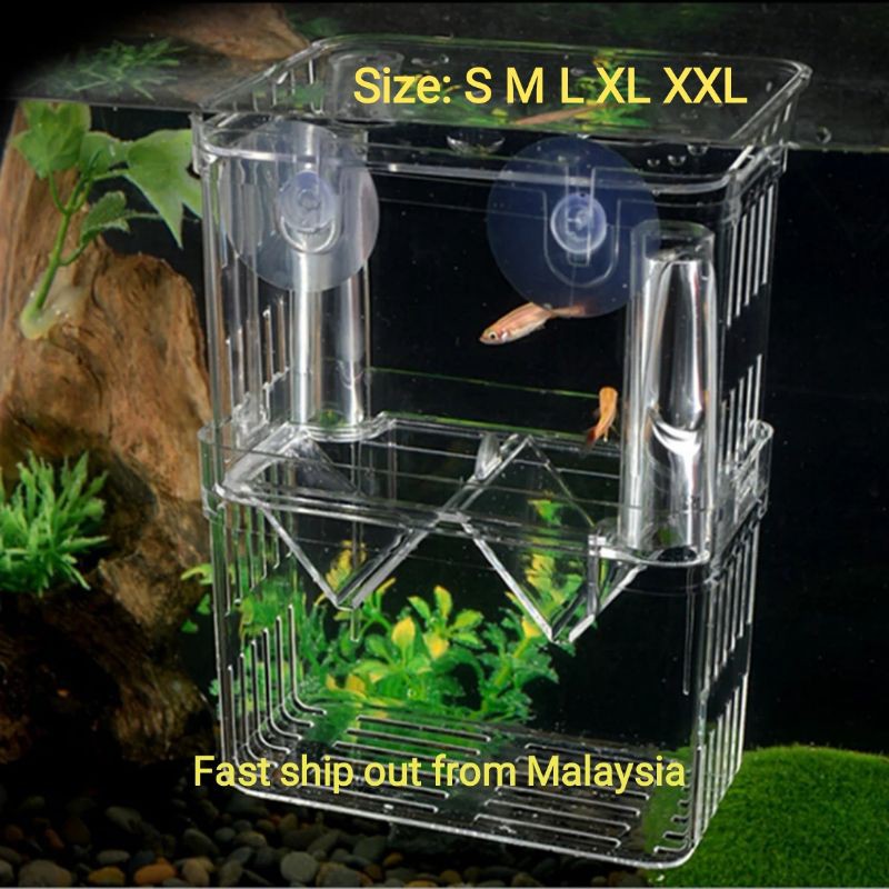 Fish Breeding Box Kotak Penetasan Pengasingan anak Ikan Aquarium Double ...