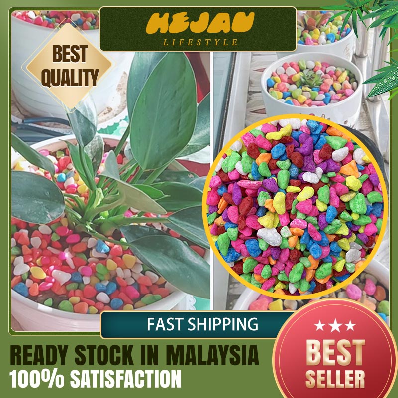 【24H SHIP OUT】Colourful Stone Batu Hiasan Aquarium / Batu kecil Warna ...