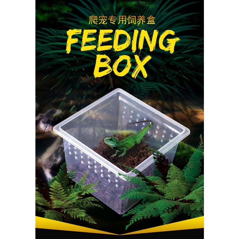(10 PCS) LEO-R Invertebrates/Insects/Reptiles Plastic Box/Enclosure ...