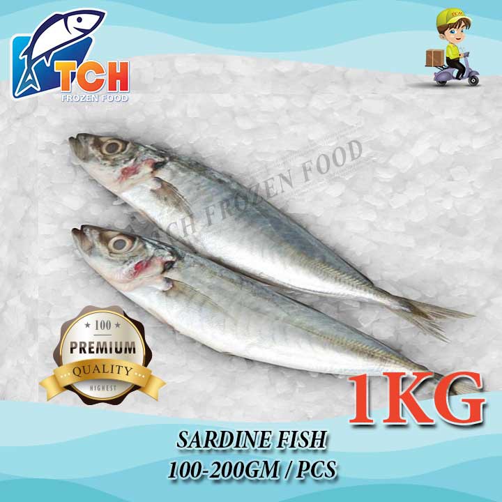 IKAN SARDIN, SARDINE, TCH FROZEN FOOD, FRESH SEAFOOD, WHOLESALE ...