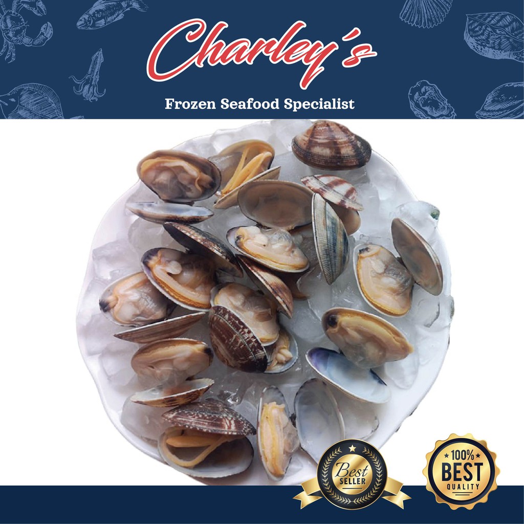 ⭐️ HIGH-END ⭐️ JAPANESE CLAM | LALA 500G | Shopee Malaysia