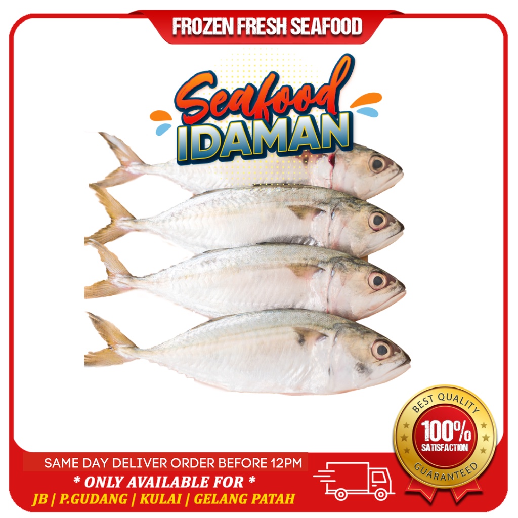 [🚚 JOHOR BAHRU Only] IKAN KEMBONG (6 - 8 PCS) 1KG | Shopee Malaysia
