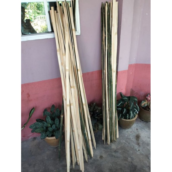 buluh pancang, panjang 150cm (25batang) | Shopee Malaysia