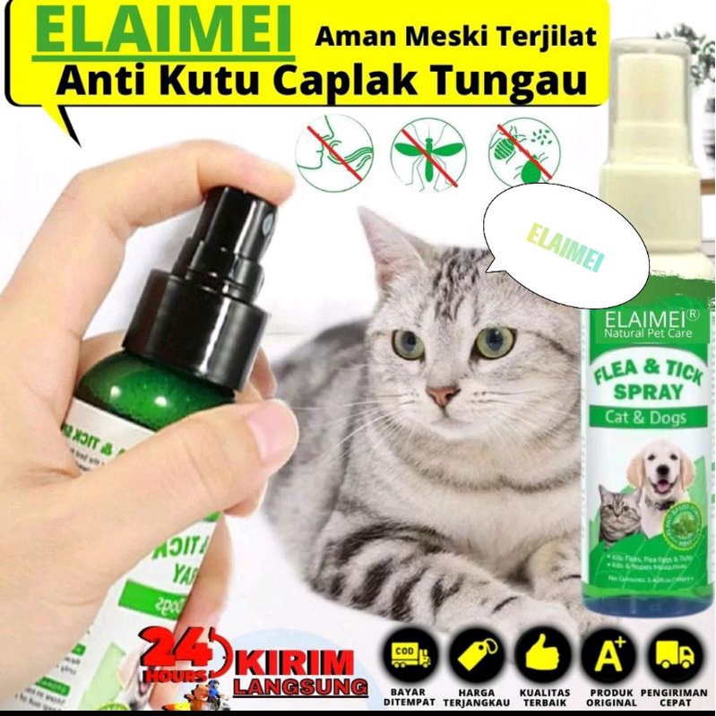 Elaimei anti Lice Dog Cat spray Effective herbal Safe Lick | Shopee ...