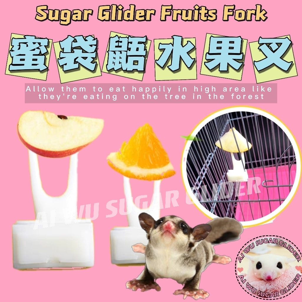 Sugar Glider Fruit Fork Toy and fruits hanger food hunting toy small ...