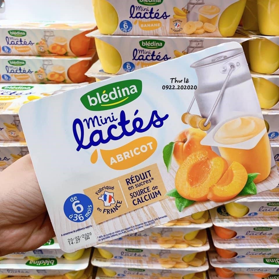 Bledina Mini Lactes French Yogurt (6 Jars) | Shopee Malaysia