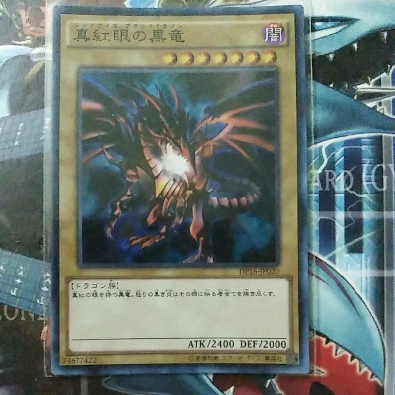 Yugioh Card 游戏王 Red-Eyes Black Dragon DP16-JP020 JY-01 DT01-JP003 PAC1-JP031 QCDB-JP010 QCCP ...