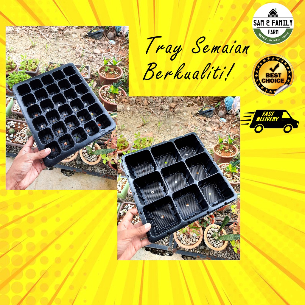 Tray Semaian Benih / Seedling Tray | Shopee Malaysia
