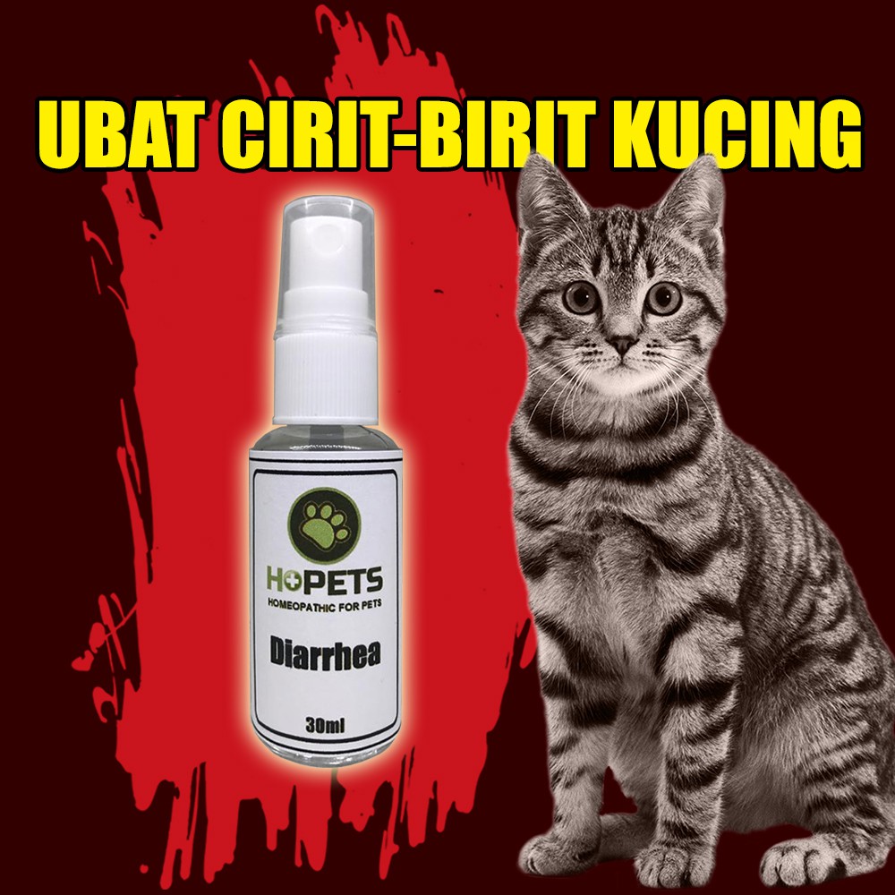 Ubat Cirit Birit Kucing - Ubat Cirit Birit Kucing Spray Homeopathy 30ml ...