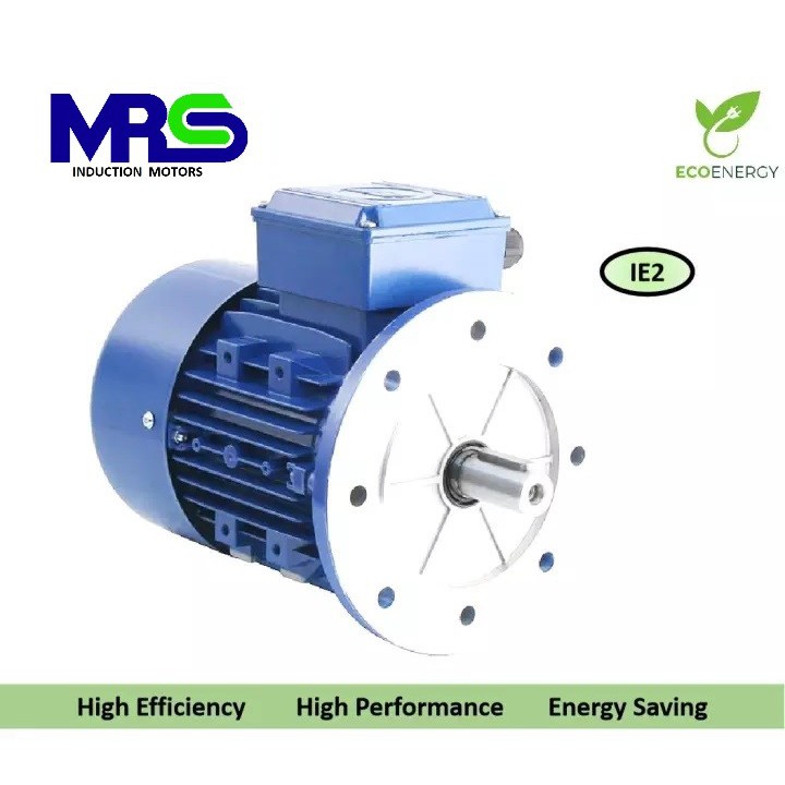 MRS Three-Phase IE2 100L-2 Induction Motor 3kW (4HP)/2900rpm/3Phase/415V/50Hz (B5 Flange Mounted ...