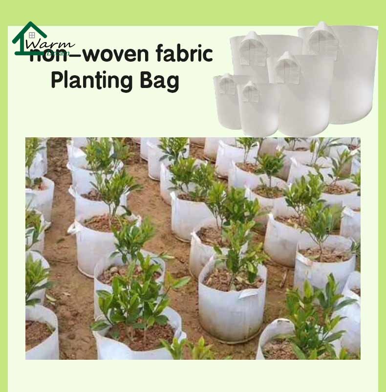 Non-woven Fabric Planting Green Grow Bags Thickened Tree Planting Bag ...