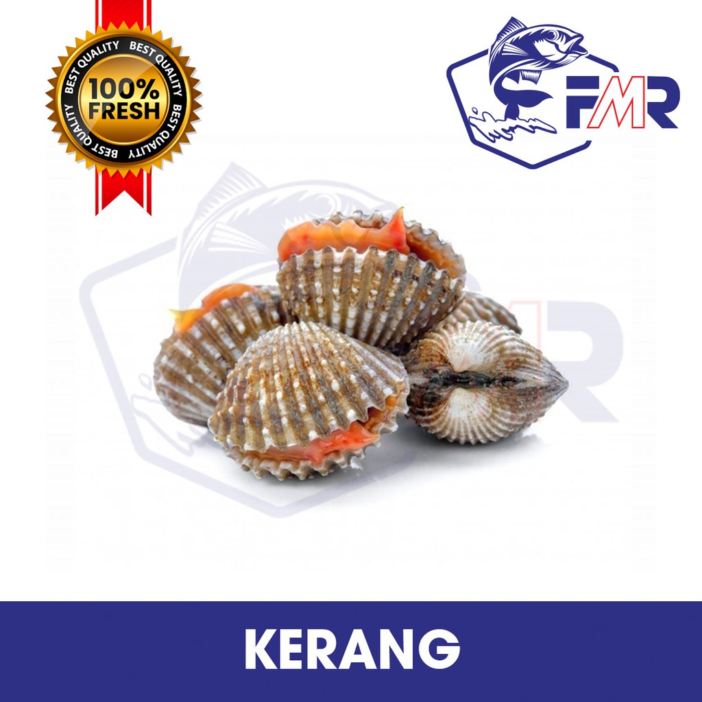Fresh Kerang Segar 1 KG Packet (Klang Valley Only) | Shopee Malaysia