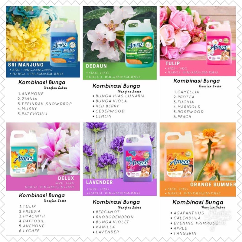 AMECO LAUNDRY DETERGENT + SOFTENER 10KG (Anti-Bacteria) !! paling Murah ...