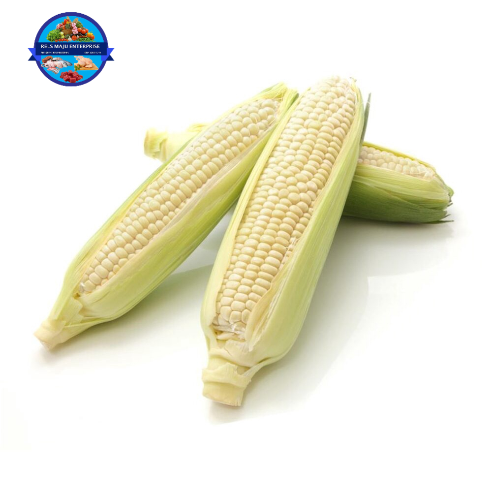 JAGUNG SUSU / MILK CORN | Shopee Malaysia