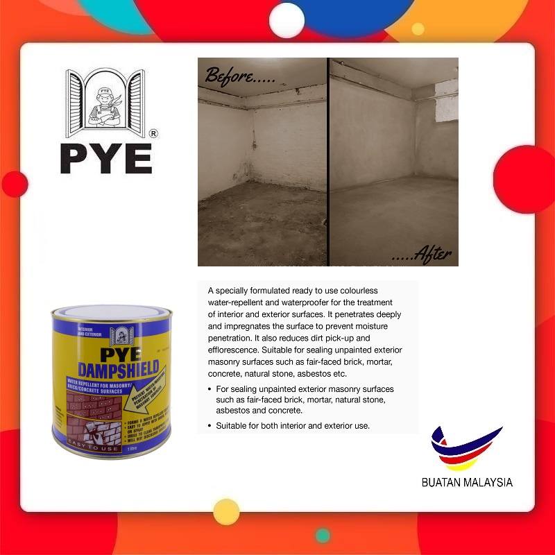 PYE Dampshield 1L Resin Based Surface Treatment (Brick, concrete, stone ...