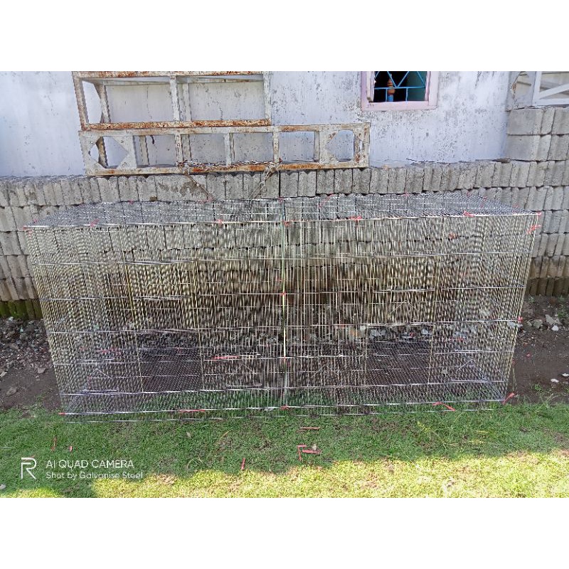 Dove / VIRGIN BIRD CAGE | Shopee Malaysia