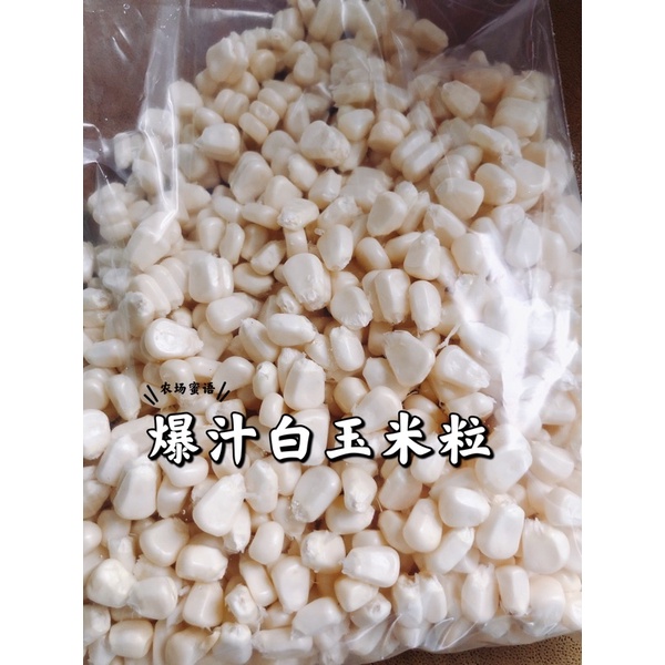2A | 3A (6 PCS)Hokkaido White sweet Corn | jagung susu manis | 💯Cameron ...