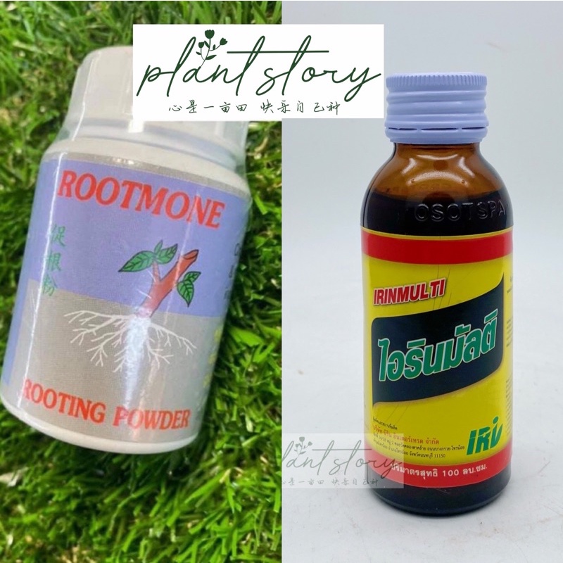 🌱THAILAND OSOTSPA VITAMIN B1🌱ROOTING POWDER🌱 B1生根水🌱ROOTMONE PLANTS🌱 生根粉 ...