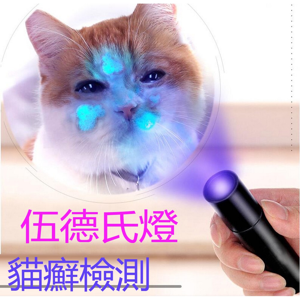 365nm USB Rechargeable Purple Light Wood's Light Illuminating Cat Moss ...