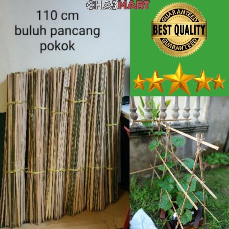 Buluh pancang ikat pokok 1set 25 batang /Bamboo plants Stakes Buluh ...