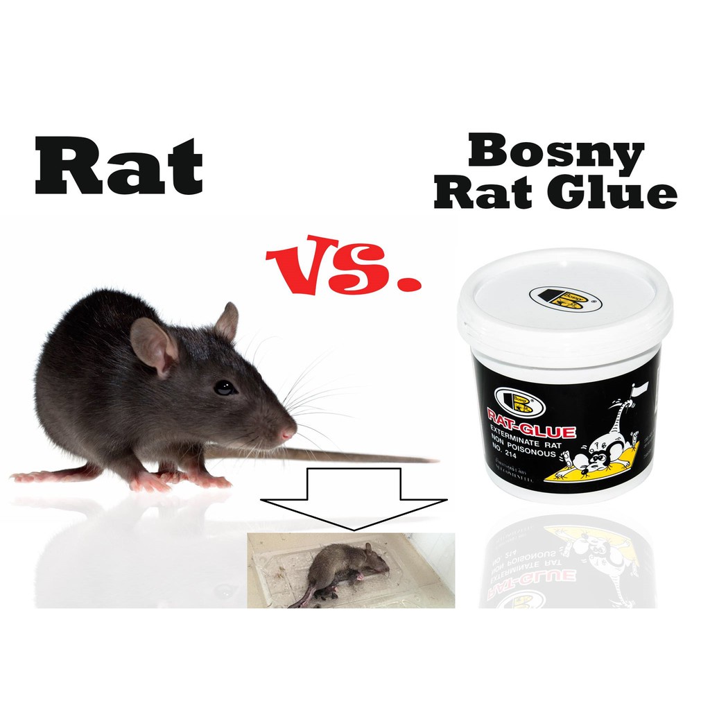 BOSNY Exterminate Rat Non Poisonous Rat Glue B214 / Gam Tikus 400 ml ...