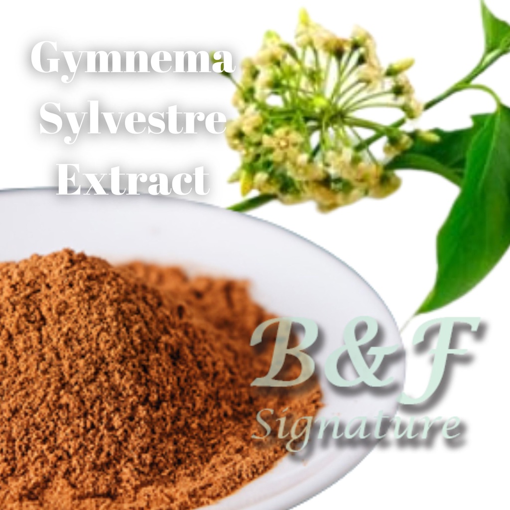 Gymnema Sylvestre Extract Powder Food Grade Gurmar Serbuk Ekstrak ...