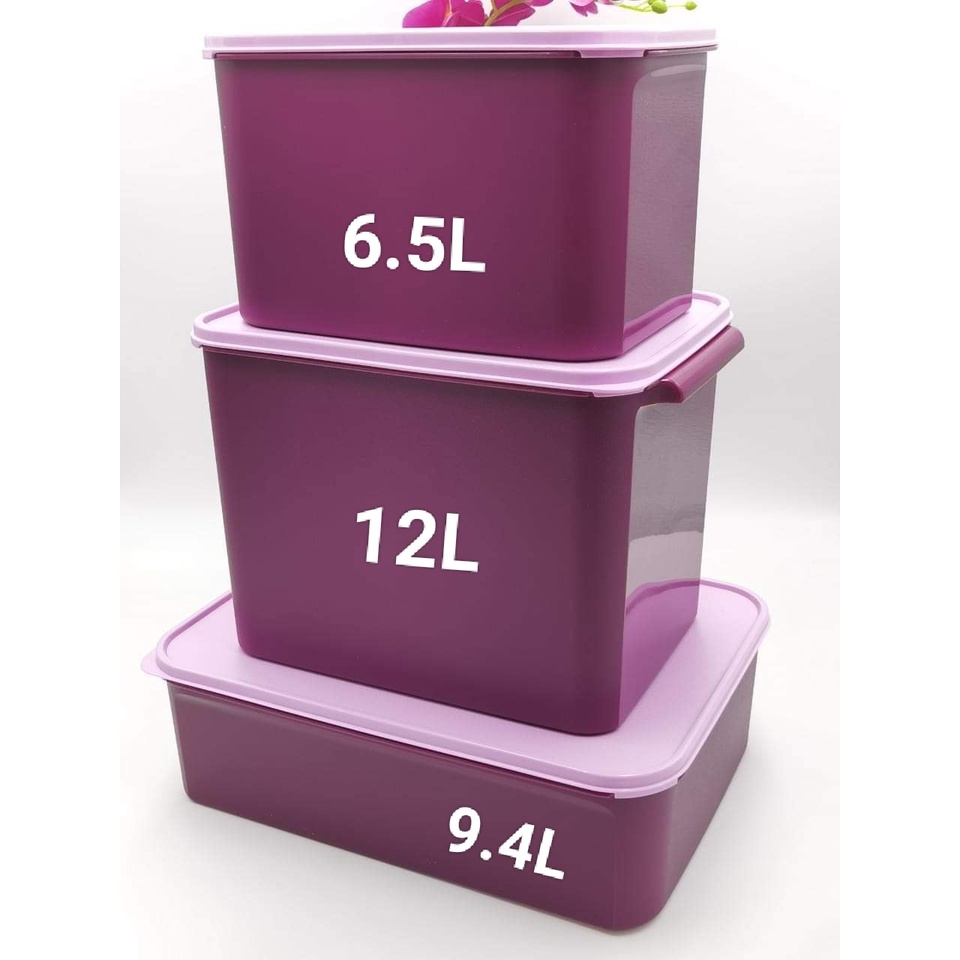 Tupperware Modular Mates Rectangular 6.5L (1) / Jumbo Keeper 12L (1 ...