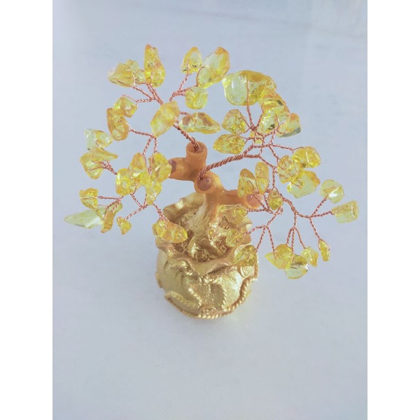 福袋 金钱树 招财树 Fukubukuro Golden Lucky Tree 福星高照 吉祥好运 | Shopee Malaysia