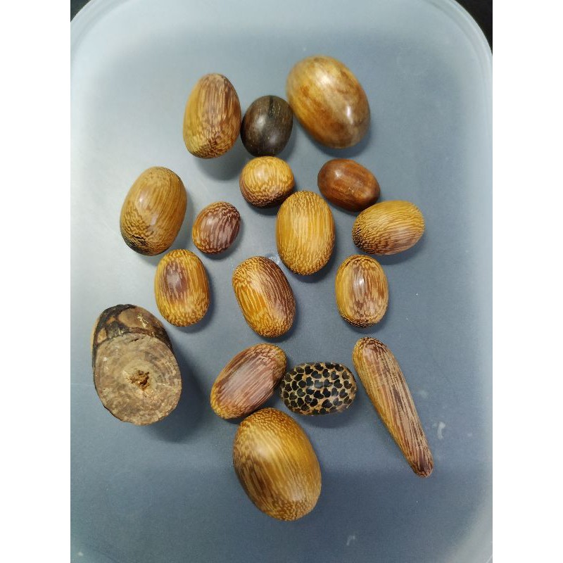 🇲🇾🇲🇾Permata cincin teras gemungal kampung & bukit,raja kayu,nibong ...