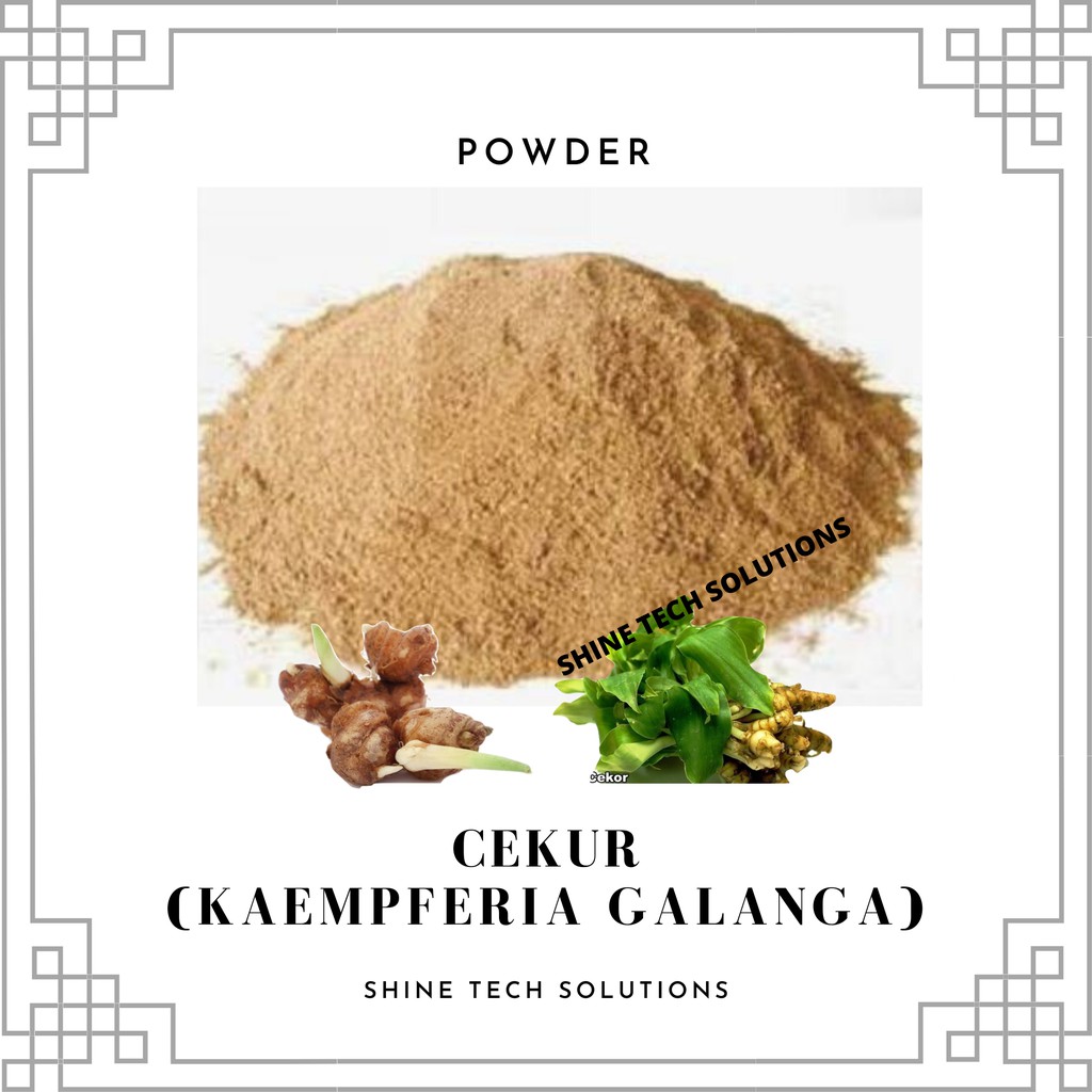 1KG Cekur Powder (Kaempferia Galanga) 100% Pure | Shopee Malaysia