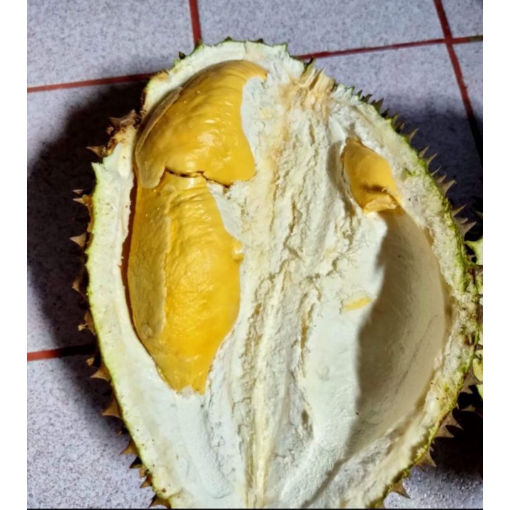 Kk5 Durian Rare Kuala Kangsar | Shopee Malaysia