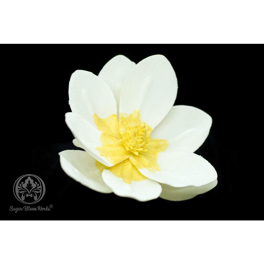 A Gumpaste Flower Magnolia READY STOCK Cake Topper / Bunga Kek / Hiasan ...
