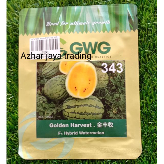 Tembikai kuning golden harvest 343 -20g | Shopee Malaysia