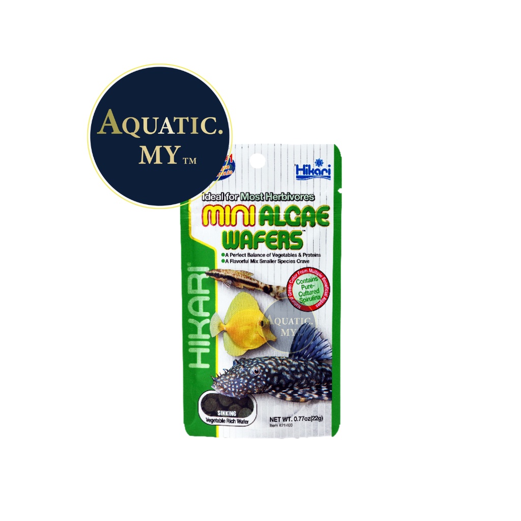 Hikari Mini Algae Wafers (22g/85g) for Bottom Feeding Herbivorous Fish ...