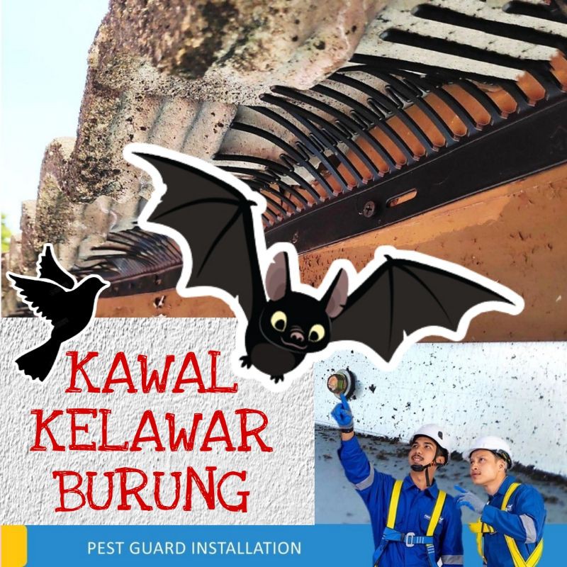 🏅ORI-ITEM🏅 Jaring Kawalan Kelawar & Burung (1 Meter) / MONIER Pest ...