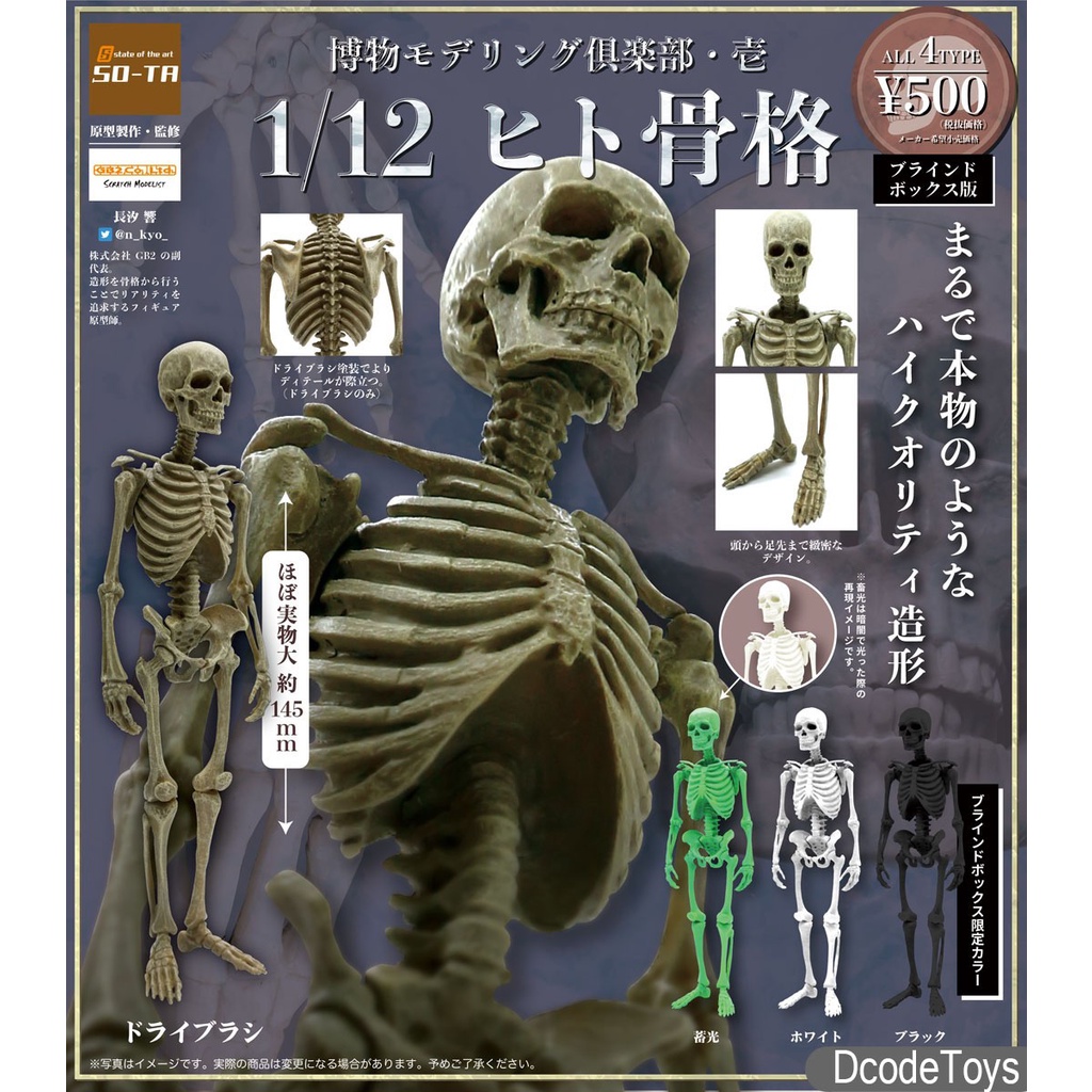 SO-TA 1/12 Human Bone Bones 6" Skeleton action figure Japanese Anime ...