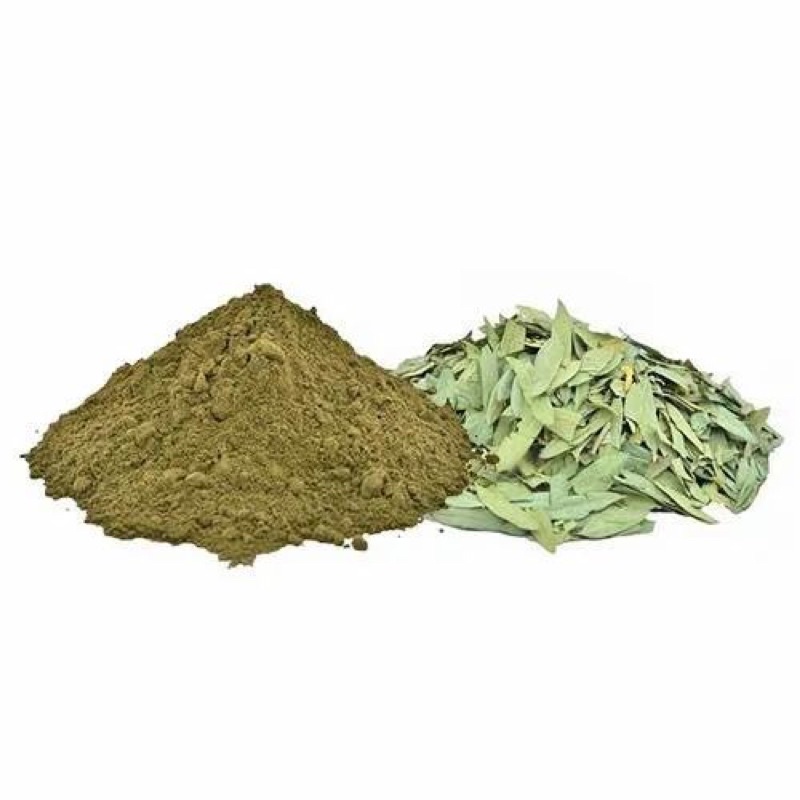 coffee/cassia/Senna leaf powder Ponnavarai chooranam (Cassia ...