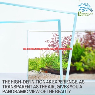 AQUARIUM Fish Tank Crystal Clear Tank Shallow Tank 30CM/ 36CM/ 40CM ...