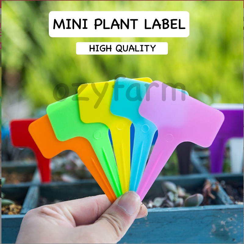 Label pokok mini plant label plant tag flower | Shopee Malaysia