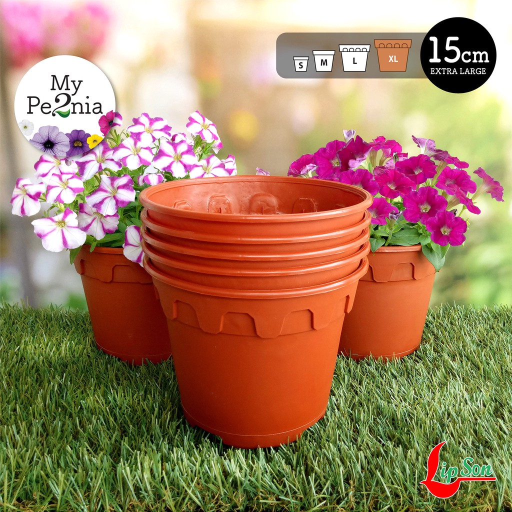 MyPe2nia [Flower Pot] 5 Pcs/ 10 Pcs Lipson 15cm Extra Large Plastic Pot ...